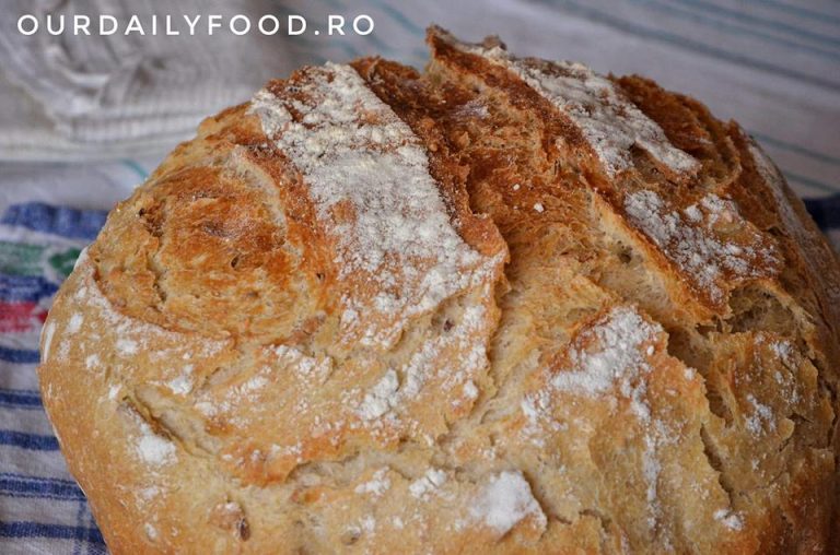 Paine cu faina integrala si seminte - OurDailyFood
